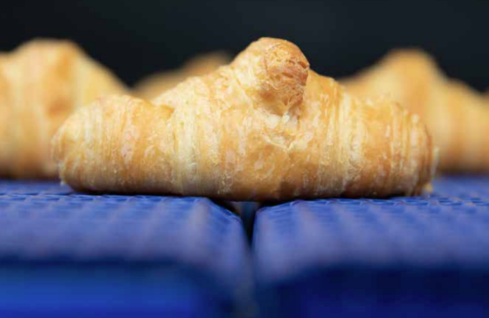 Tight Transfer Belt - Intralox S560 – Aid Equipment